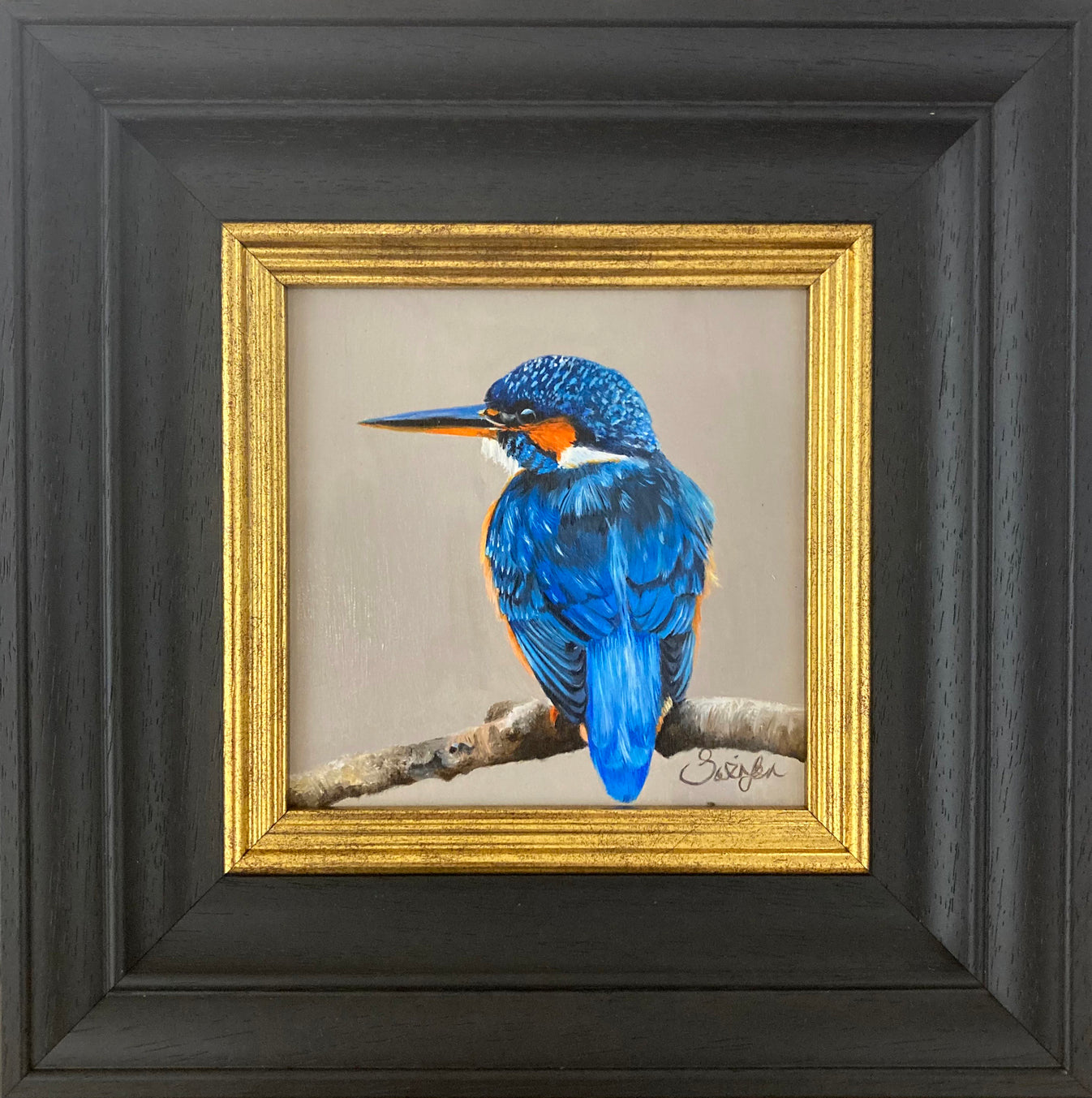 Kigfisher Oil Painting by Cate Swinfen | Sanders and Christie